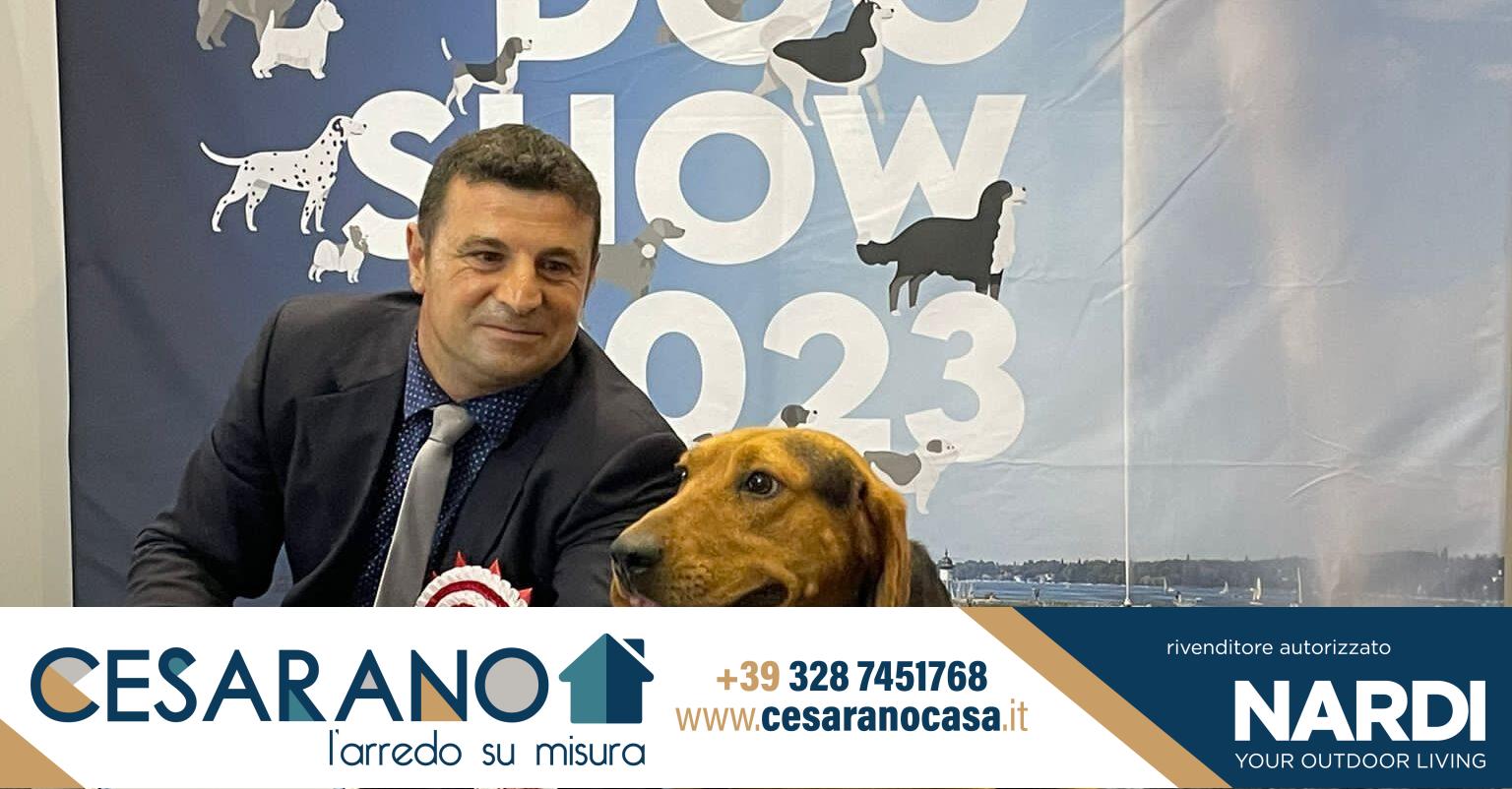 Cilento ancora sul tetto del mondo: trionfo a Ginevra al World Dog Show ...