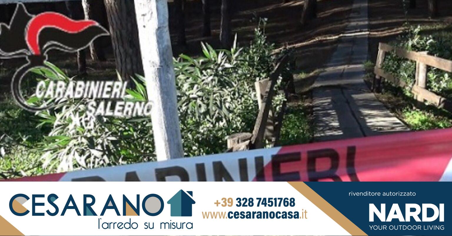 Cilento, cordoli e lastroni di cemento in pineta: sequestro preventivo ...