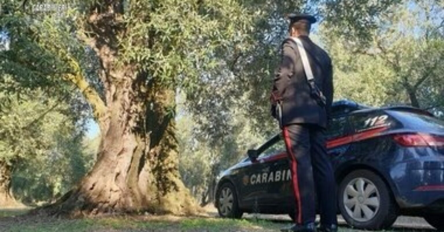 Tragedia Centola: due indagati per la morte dell’operaio | Giornale del ...