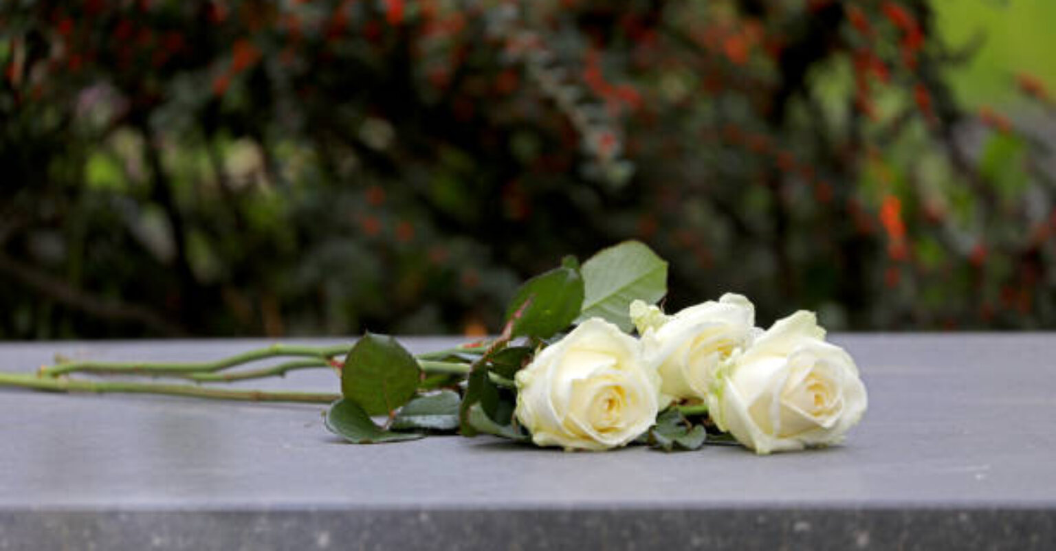 Salerno, per la festa della mamma rose bianche e un concerto al ...